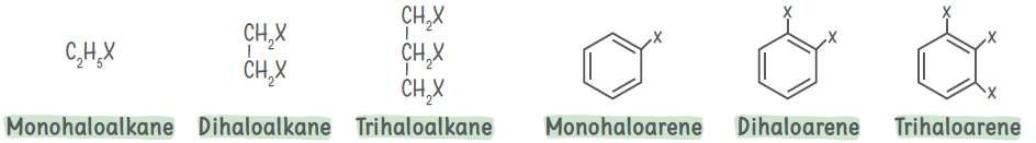 CBSE Class 12 Chemistry Notes Chapter 10 Haloalkanes and Haloarenes