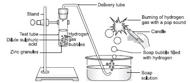 NCERT Solutions for Class 10 Science Chapter 2: Acids, Bases and Salts