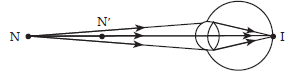 NCERT Solutions for Class 10 Science Chapter 11: The Human Eye and the ...