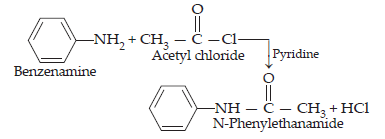 NCERT Solutions for Class 12 Chemistry Chapter 13 Amines